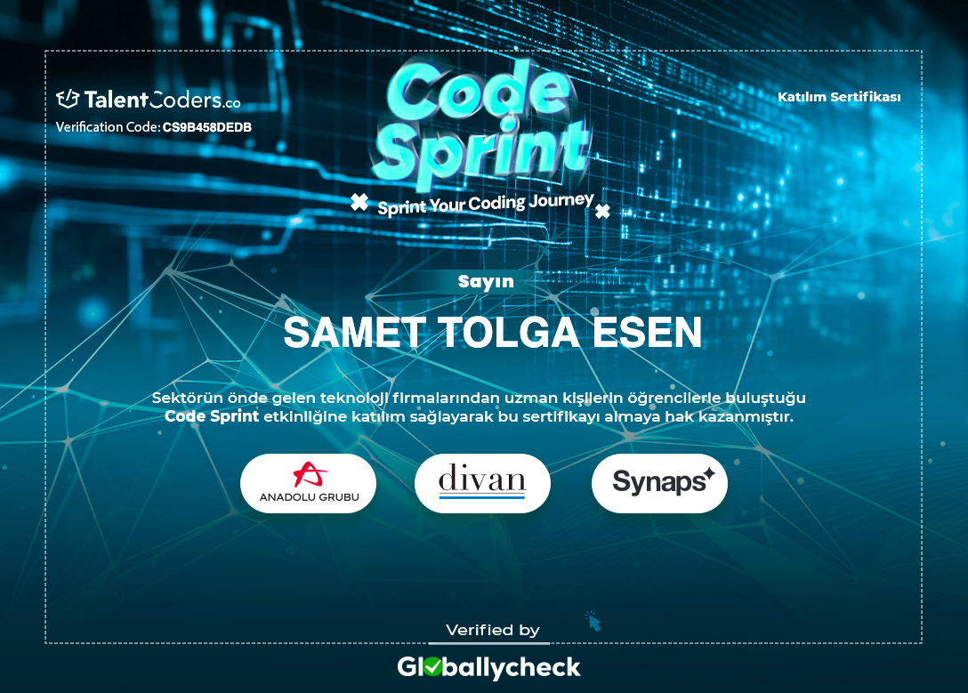 Samet Tolga Esen - Software Engineer | LinkedIn