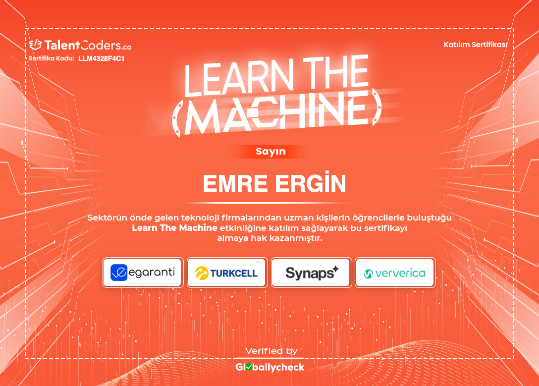 Emre Ergin - Web Developer | Information Systems & Technologies Student at EUL | LinkedIn
