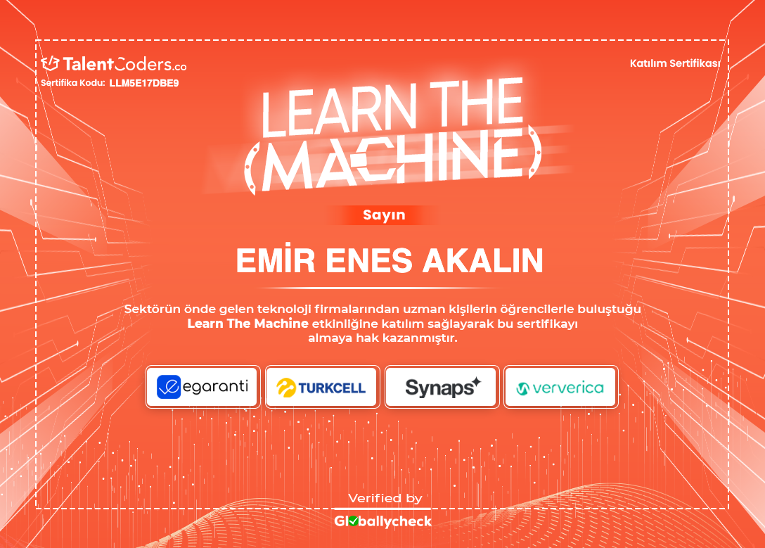 Emir Enes Akalın - Full-Stack Developer | LinkedIn
